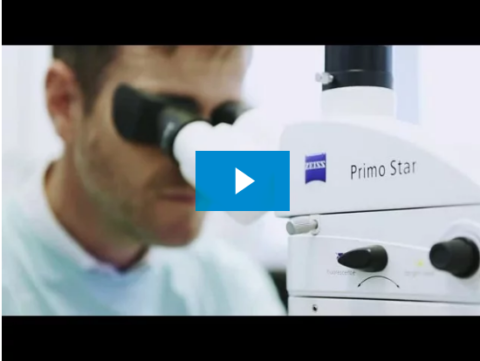 ZEISS Primo Star | Primostar
